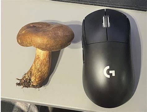 G Pro X Superlight Side Button Broken Issue R Mousereview