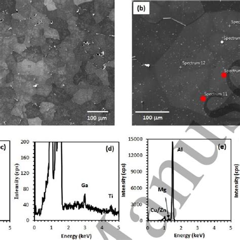 Sem Images Showing The Equiaxed Dendritic Grain Structure Of The High Download Scientific