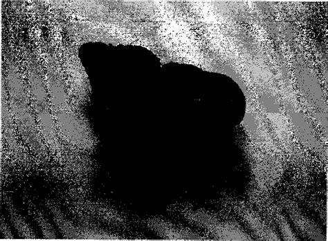 Trichoderma Harzianum Strain And Use Thereof Eureka Patsnap