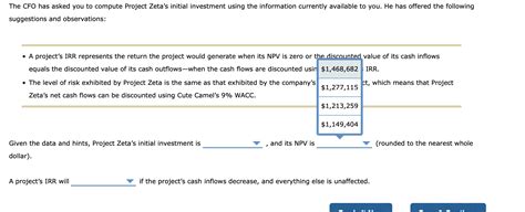 Solved Understanding The IRR And NPV The Net Present Value Chegg Com