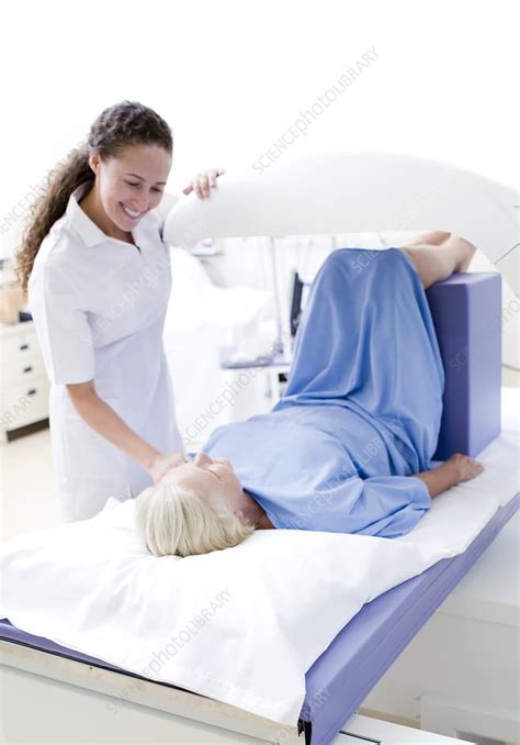 Bone Density Scan Stock Image F Science Photo Library