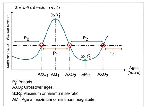 Understanding Age And Sex Differentials In Cancer Incidence And
