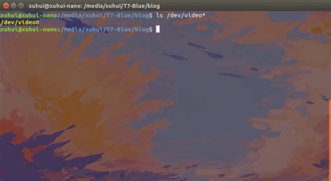 在nvidia Jetson Nano上使用树莓派相机模块raspberry Camera V2