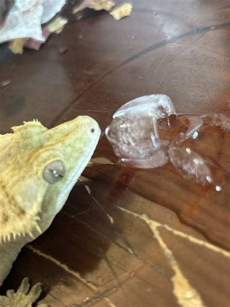 날씨가 더워서 자유 에펨코리아