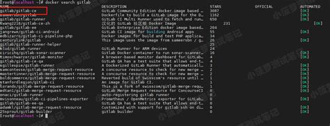 docker 实战（3） 搭建 gitlab 容器并上传本地项目代码 小菠萝测试笔记 博客园