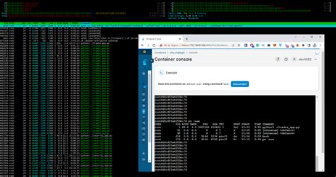 Multiple Duplicated Process When Running Python Inside A Docker