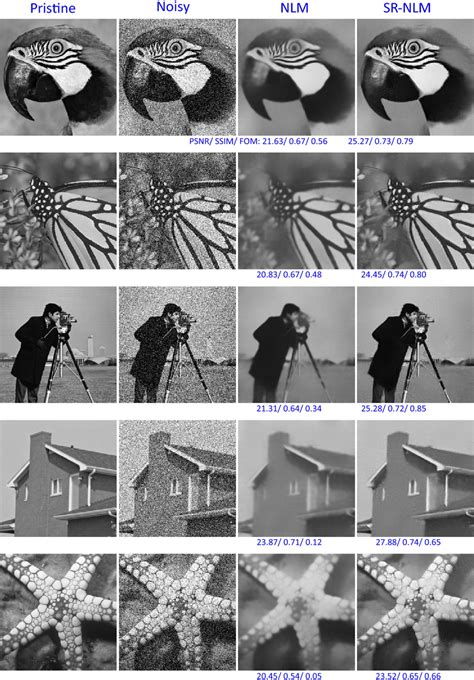 Nlm Vs Sr Nlm On Set12 Dataset For Awgn Of Sd 50 Download