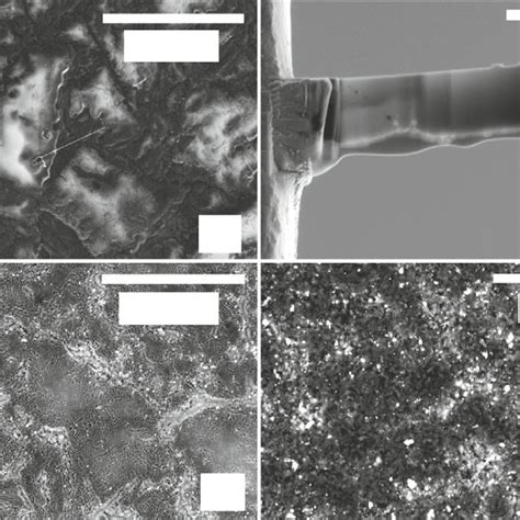 Surface Of The Pcd Composite Before A And After B Etching Of The