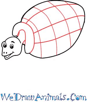 Cartoon Drawing Of A Turtle Cartoon Caricature Of Senator Mitch