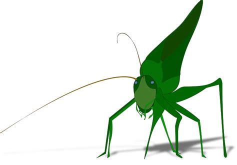 Grasshopper With Shadow Openclipart