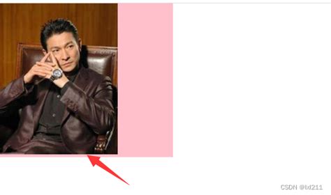css vertical align实现行内块和文字水平居中对齐 img vertical align middle csdn博客