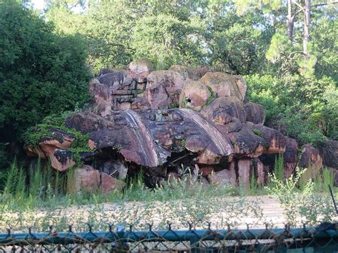 This Abandoned Disney Park Quietly Closed Forever—and Nobody Knows Why