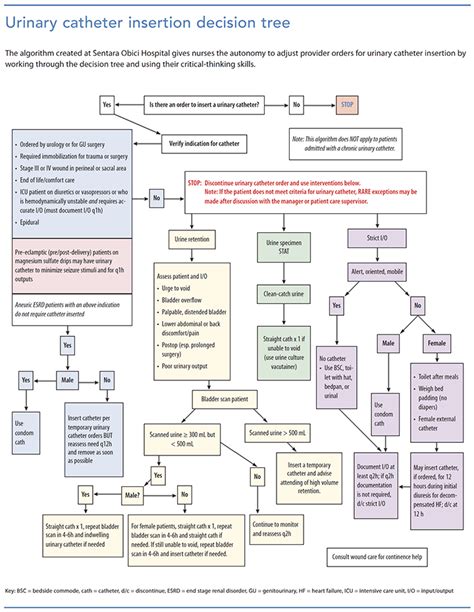 Urinary Catheter Removal Algorithm A Bladder Management Algorithm Was
