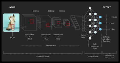 neural network architectures top 2025 frameworks explained label