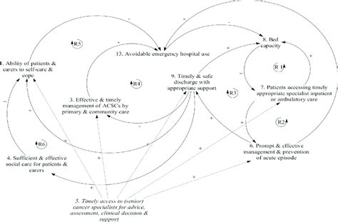 Reinforcing Feedback Loops In Reducing And Managing Emergency Download Scientific Diagram