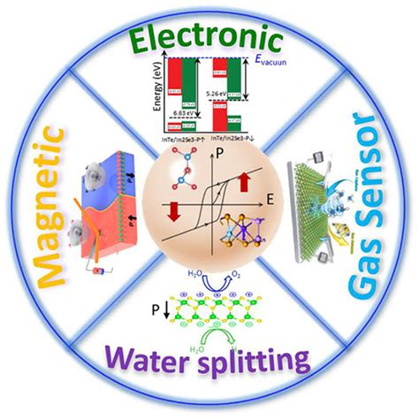 Two Dimensional Ferroelectrics Candidate For Controllable Physical And Chemical Applications