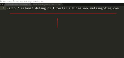 Tutorial Sublime Text Editor Part 5 Mengatur Tampilan Malas Ngoding
