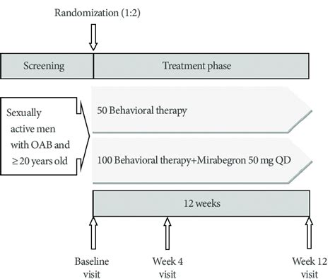Schematic Diagram Of The Treatment Schedule OAB Overactive Bladder Download Scientific
