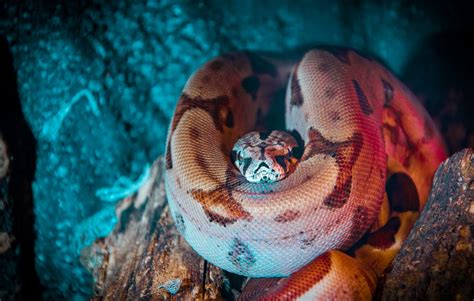 getting started guide — anaconda open source platform for python… by