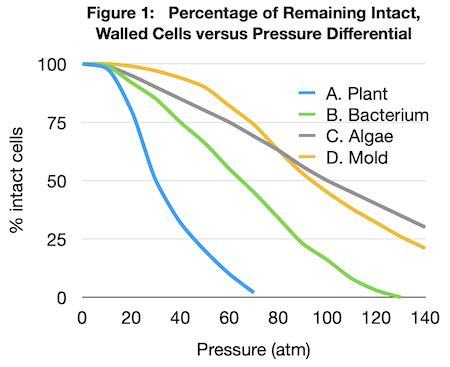 Comparing The Structural Integrity Of The Cell Membrane Cell Wall Practice Biology Practice