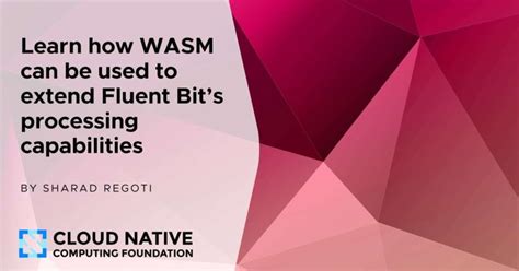 Processing Log Data With Fluent Bit And Webassembly Andrii Baliuk