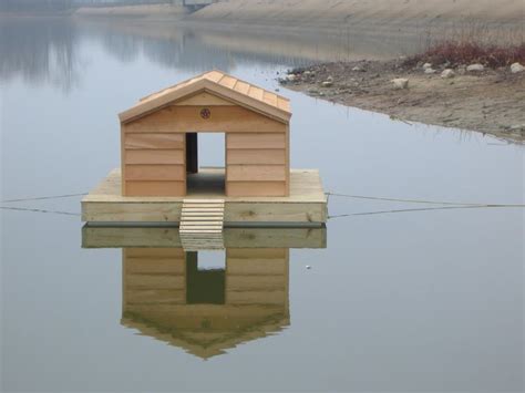 Floating Duck House Google Search Goose House Duck Coop Duck House