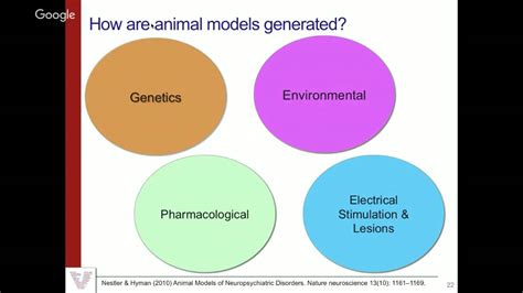 Animal Systems Modeling Research at Imogen Parry-okeden blog