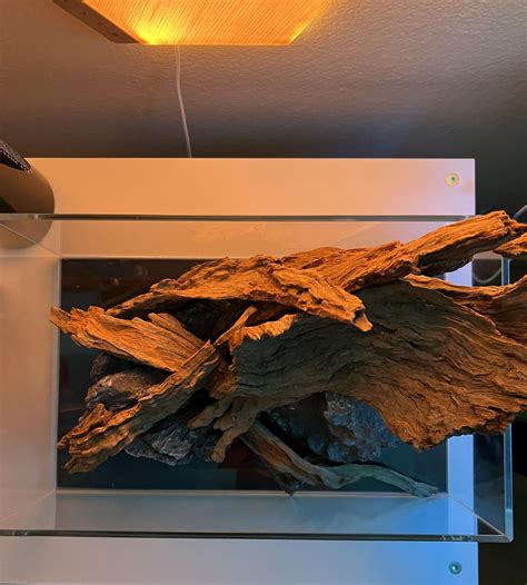 Plant And Substrate Suggestions For My Uns 25g Shallow Raquascape