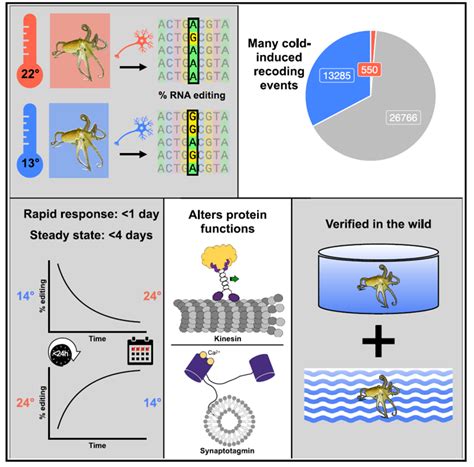 Molecular Level Intelligence Evidenced By Discovery Of Extensive