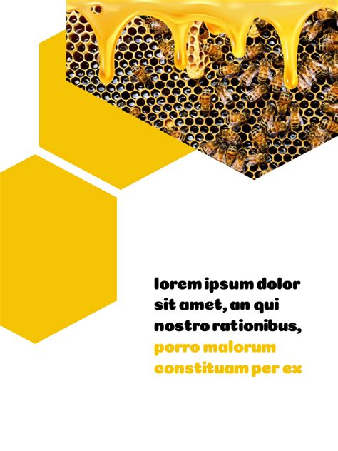 Beekeeping And Honey Slides Presentation