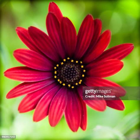 Dynamic 365 Photos And Premium High Res Pictures Getty Images