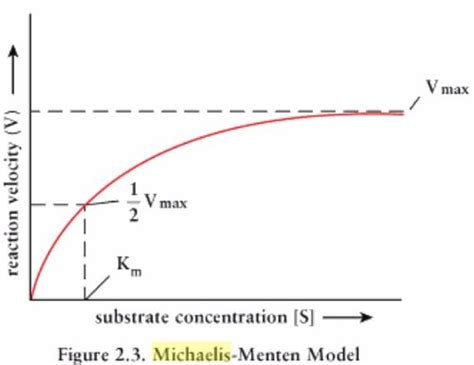 Substrate Enzyme Concentration Flashcards Quizlet