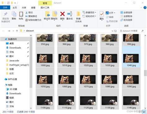 yolo yolov5构建数据集 yolov5 训练集 和验证集 用一个 csdn博客