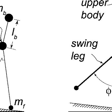 PDF Passive Dynamic Walking Model With Upper Body