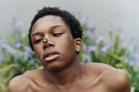 Fragile Beauty Dazed