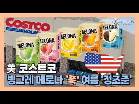 영상 美도 메로나 열풍 빙그레 코스트코 여름 시즌 대량 입고
