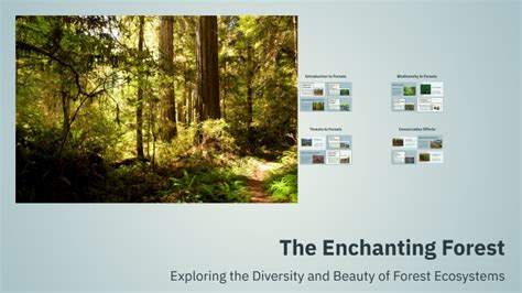Forest By Test User On Prezi