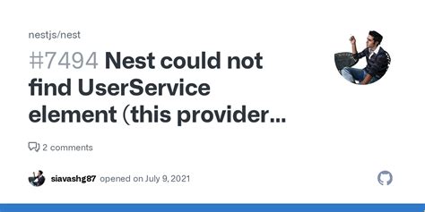 Nest Could Not Find Userservice Element This Provider Does Not Exist In The Current Context