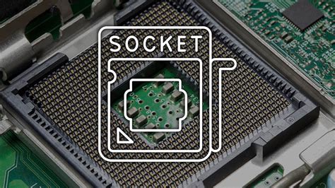 All About Cpu Sockets Essentials You Need To Know About