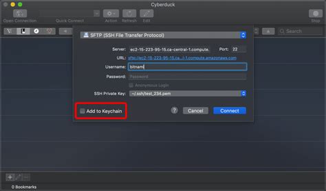 Wordpress On Amazon Ec2 Connect To An Instance Via Ftp Massolit