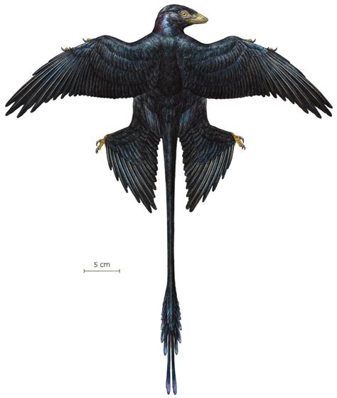 Four Winged Dinosaur With Plumage Spinosaurus With Feathers