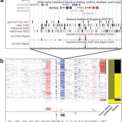 The Ucsc Genome And Cancer Genomics Browsers A The Ucsc Genome