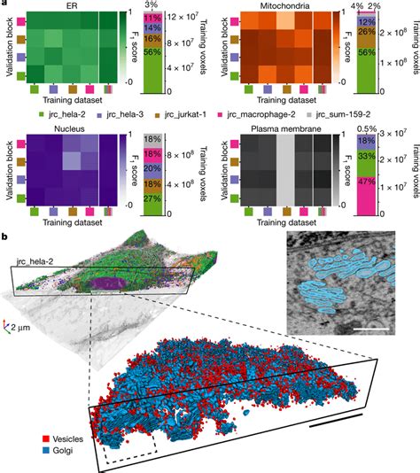 Network Evaluations And Refined Predictions A Validation F1 Scores Of Download Scientific