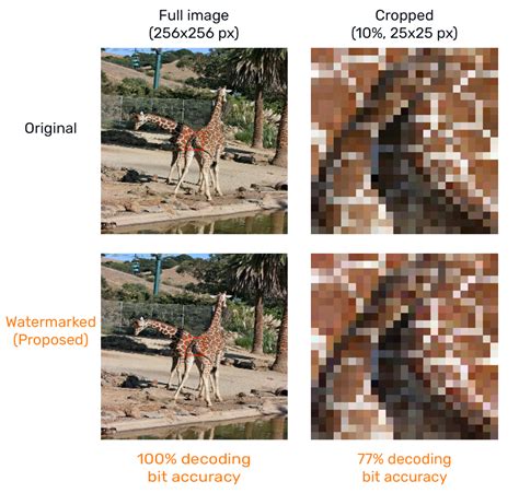 ieee icce 24 blind image watermarking robust against geometric