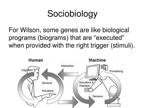 Ppt Sociobiology And Evolutionary Psychology Powerpoint Presentation