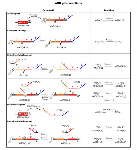 Model Reactions And Implementation — Ctrsd Simulator 2 0 2 1 0