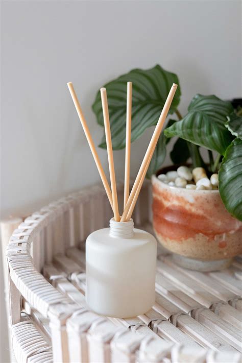 Vanilla Bean Diffuser Archie Dot Berrima