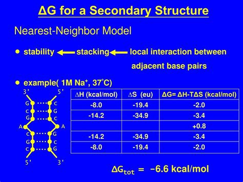 Ppt Introduction To The Rna Folding Problems Powerpoint Presentation