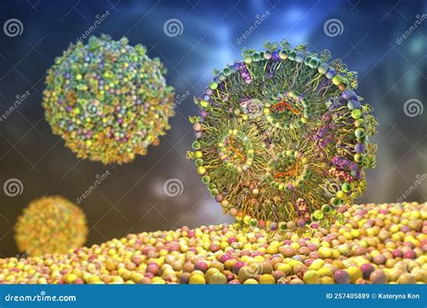 Lipid Nanoparticle MRNA Vaccine Stock Illustration Illustration Of Ball Nucleic