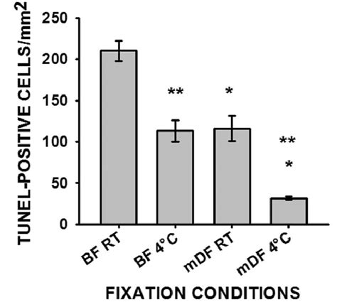 The Number Of Tunel Positive Cells Counted From 10 Random Fields From